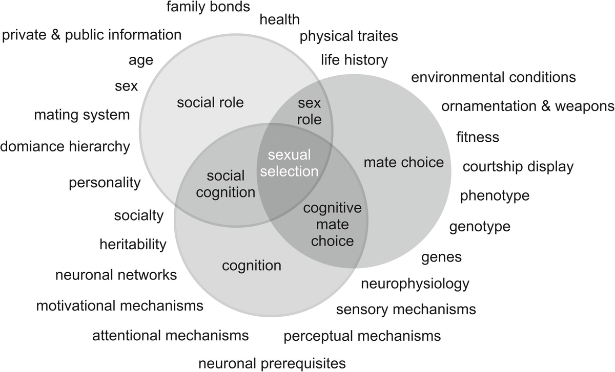 Frontiers | Mate Choice, Sex Roles and Sexual Cognition in Vertebrates ...