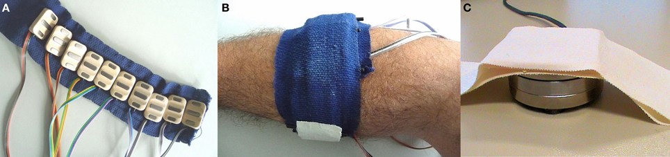 Frontiers | Stable myoelectric control of a hand prosthesis using non ...