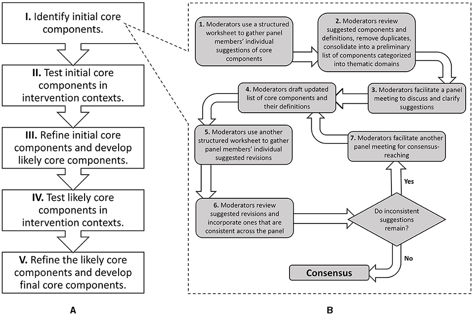 Frontiers | The CORE (Consensus on Relevant Elements) Approach to ...