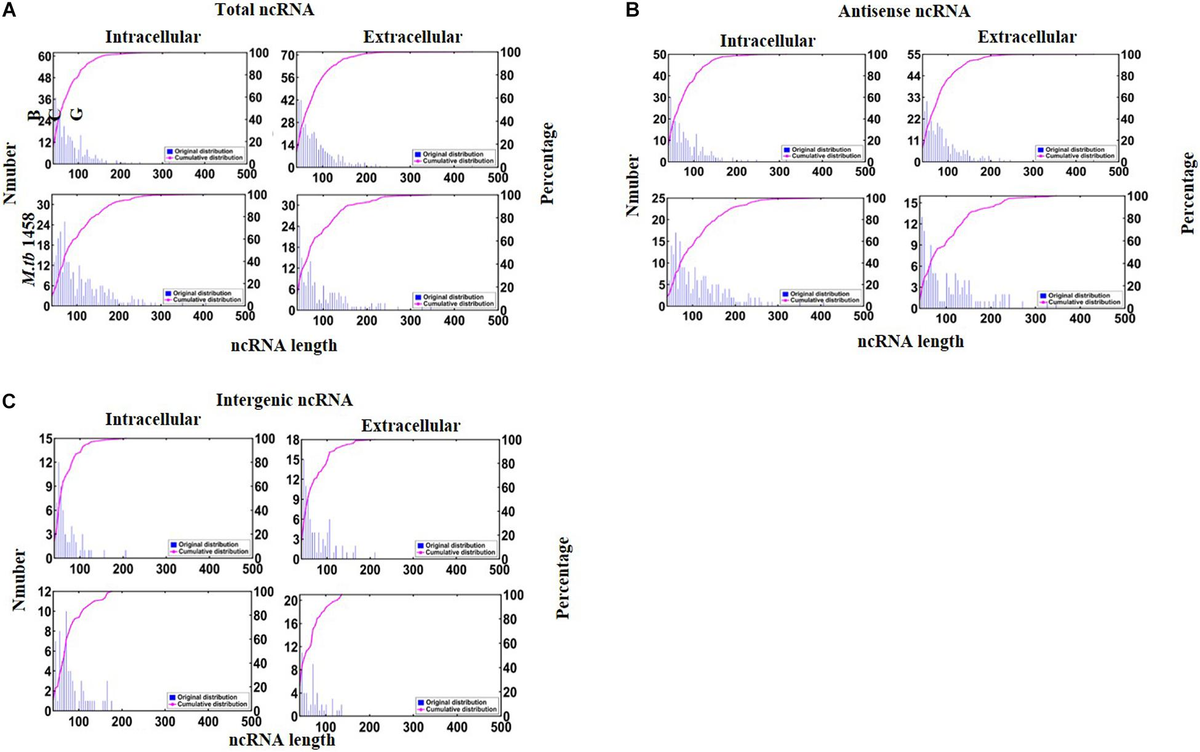 Frontiers | Small RNA Profiling in Mycobacterium Provides Insights Into ...
