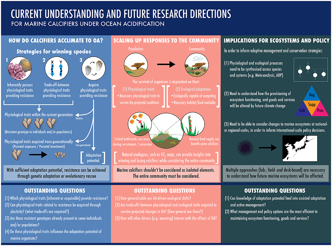 Frontiers | Editorial: Fitness of Marine Calcifiers in the Future ...