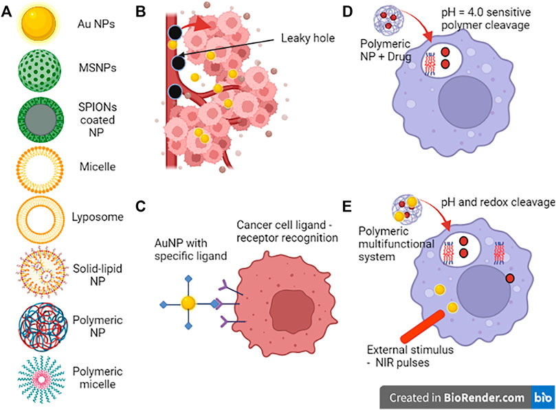 Frontiers Smart Drug Delivery Strategies For Cancer Therapy
