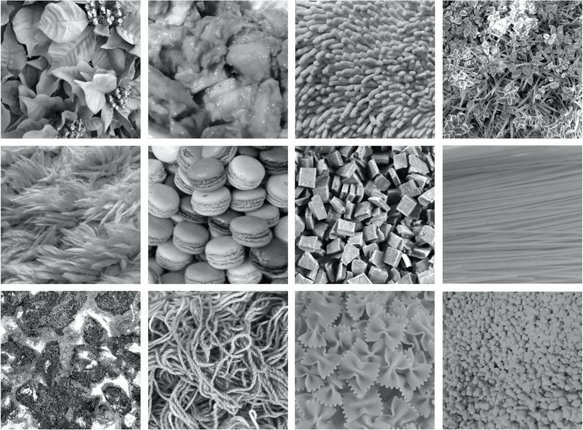 Frontiers | Photorealistic Reconstruction of Visual Texture From EEG ...