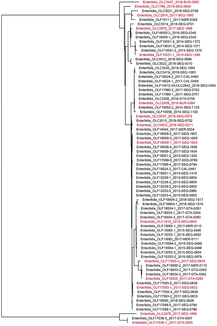 Frontiers Whole Genome Sequence Datasets A Powerful Resource For The Food Microbiology