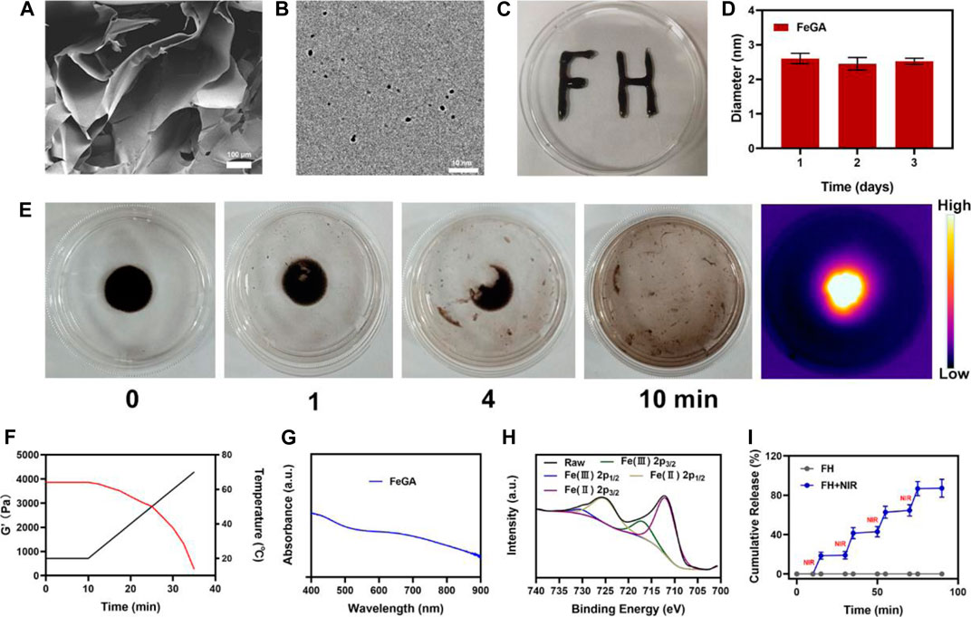 Frontiers | Injectable Hydrogel for Synergetic Low Dose Radiotherapy ...