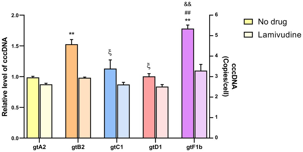 Frontiers | Biological Characterization of Hepatitis B virus Genotypes ...