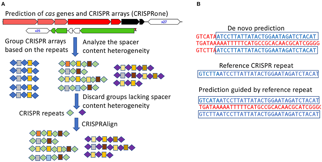 Frontiers | Comparison of CRISPR–Cas Immune Systems in Healthcare ...