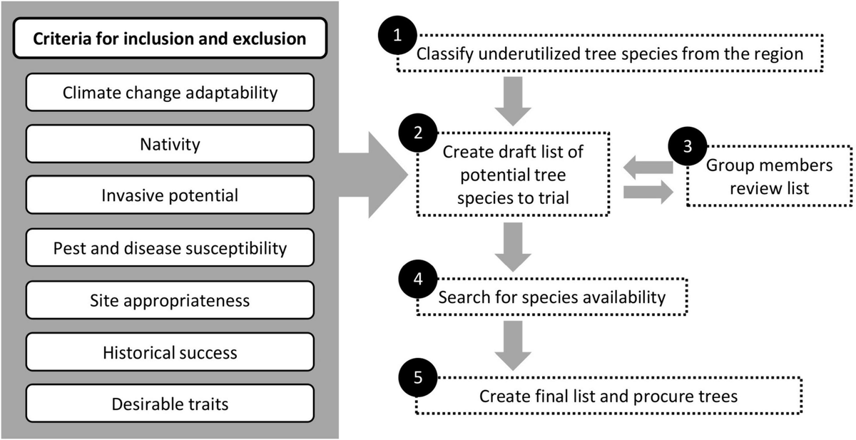 Frontiers | Selecting and Assessing Underutilized Trees for Diverse ...