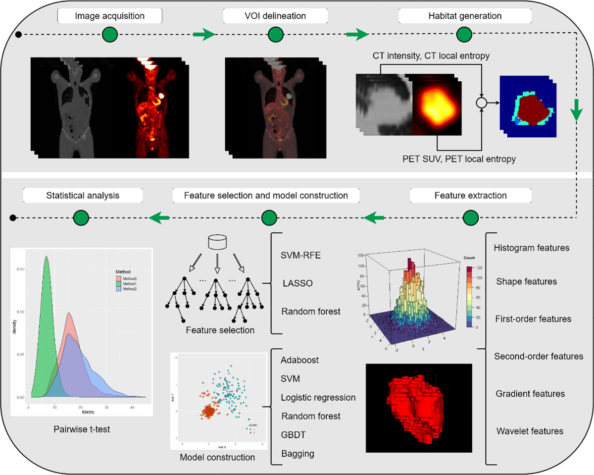 Frontiers | Habitat Imaging-Based 18F-FDG PET/CT Radiomics for the ...