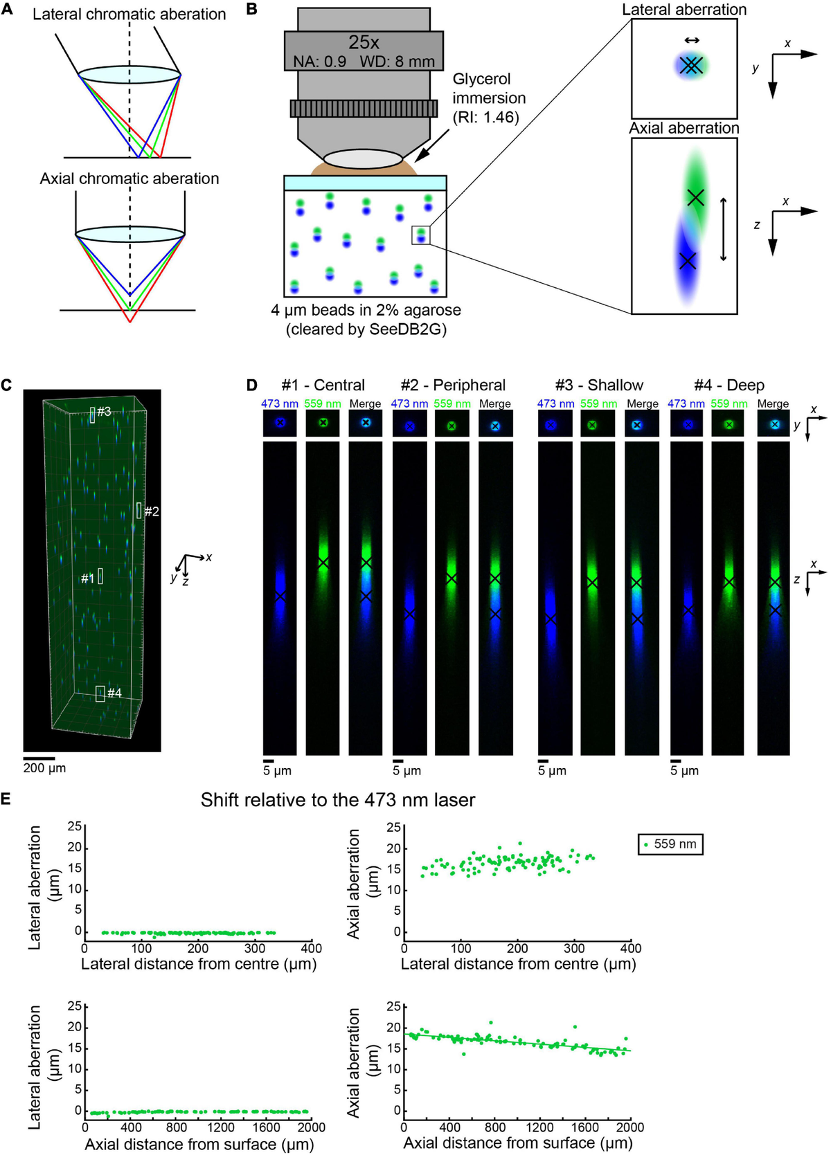 Frontiers | Post hoc Correction of Chromatic Aberrations in Large-Scale Volumetric Images in ...