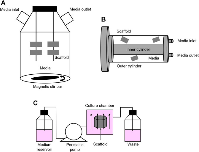 Frontiers | Perfused Platforms to Mimic Bone Microenvironment at the ...