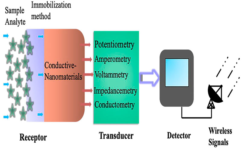 Frontiers | Progress of Wearable and Flexible Electrochemical ...
