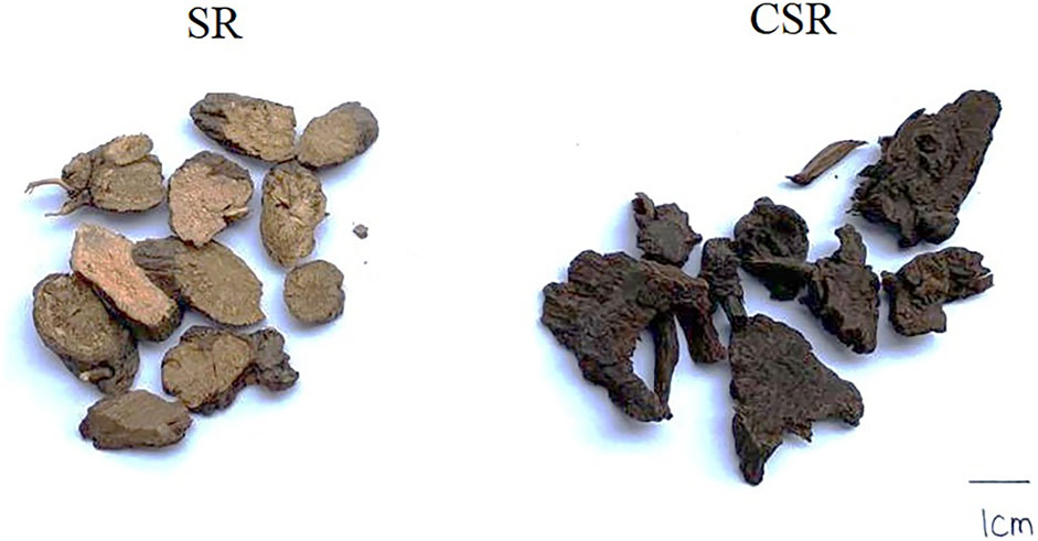Frontiers | Investigation of Tannins Transformation in Sanguisorbae ...