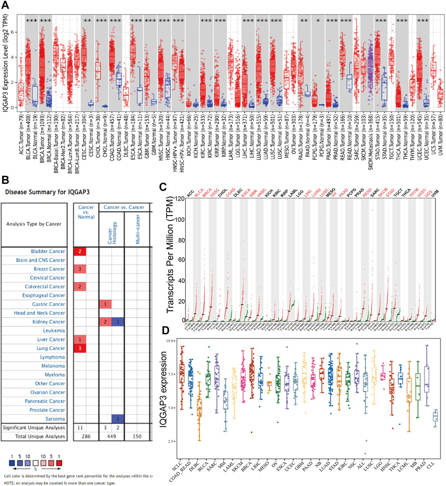 Frontiers | Comprehensive Analyses of the Immunological and Prognostic ...