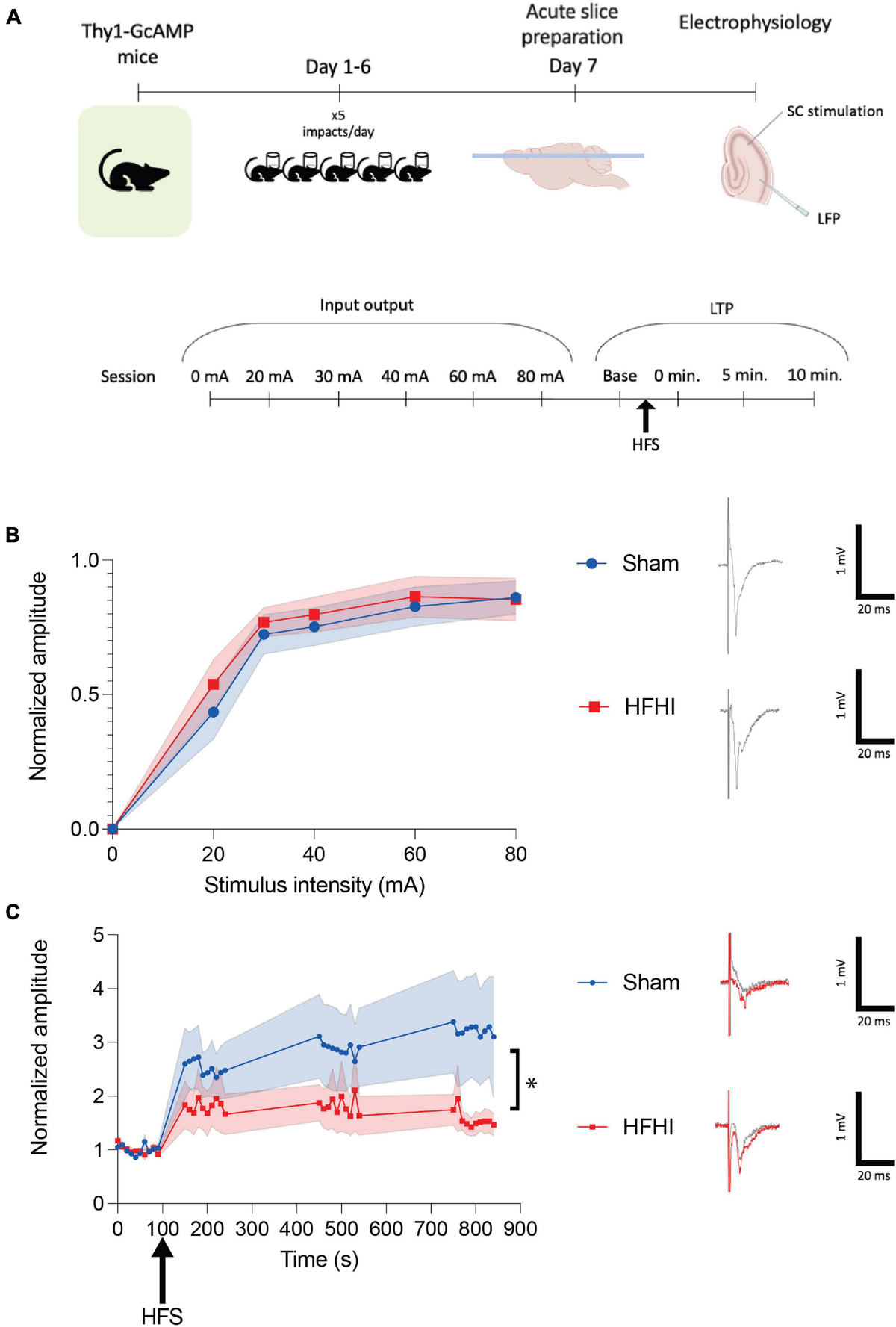 Frontiers | High-Frequency Head Impact Disrupts Hippocampal Neural ...
