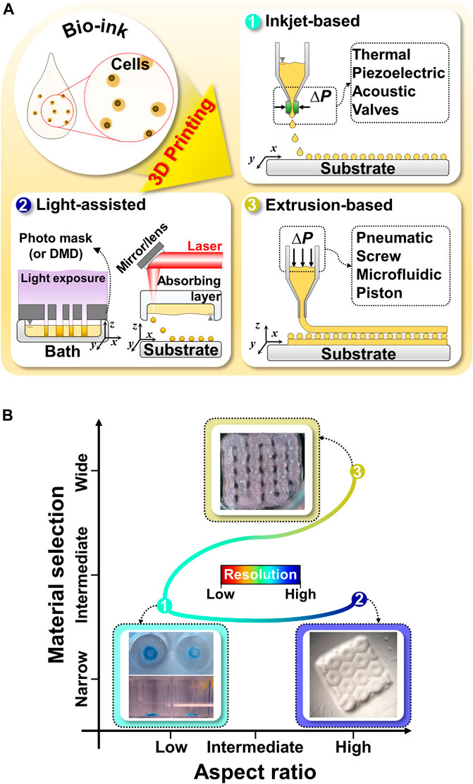 Frontiers | Review on Multicomponent Hydrogel Bioinks Based on Natural ...