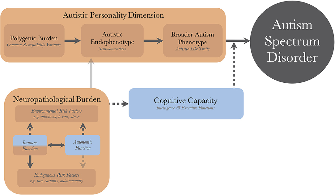 Frontiers | A Unifying Theory for Autism: The Pathogenetic Triad as a ...