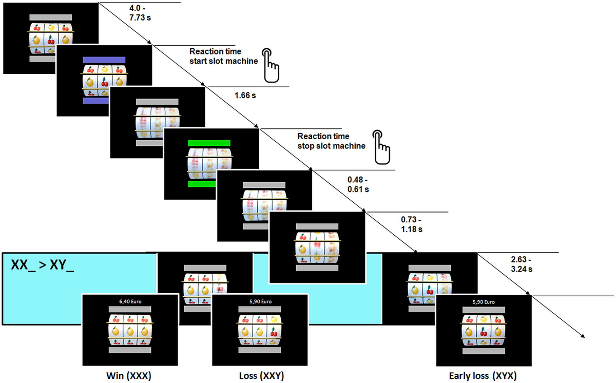 Frontiers | Video game training and the reward system