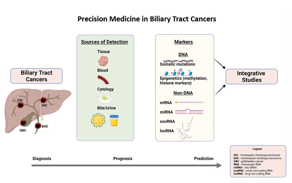 Frontiers | Biliary Tract Cancers: Treatment Updates and Future ...