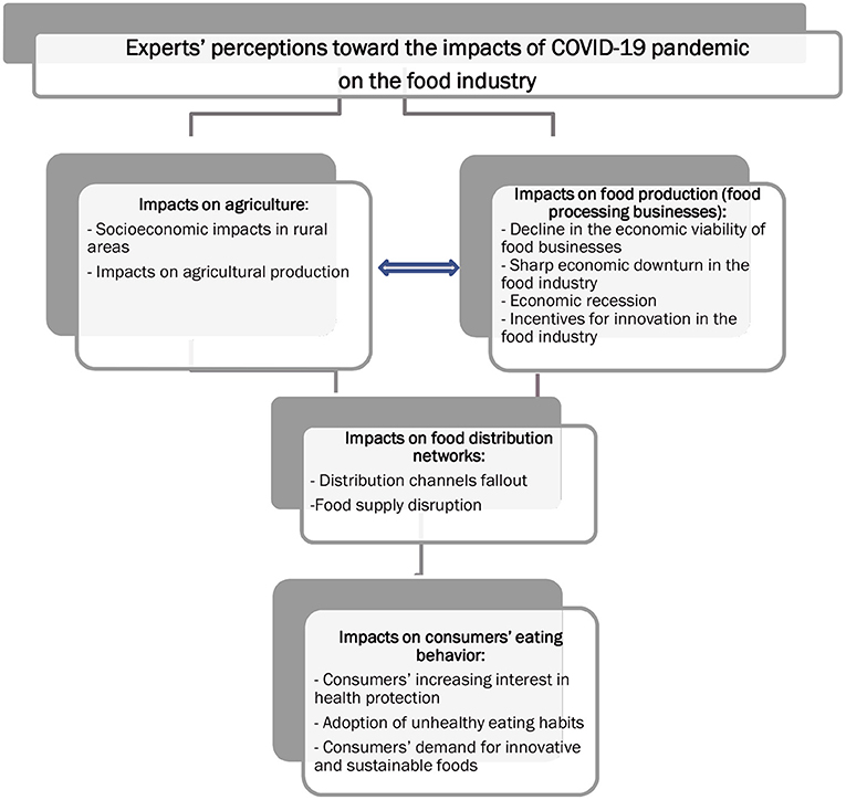 Frontiers | Assessing the Aftermath of COVID-19 Outbreak in the Agro ...