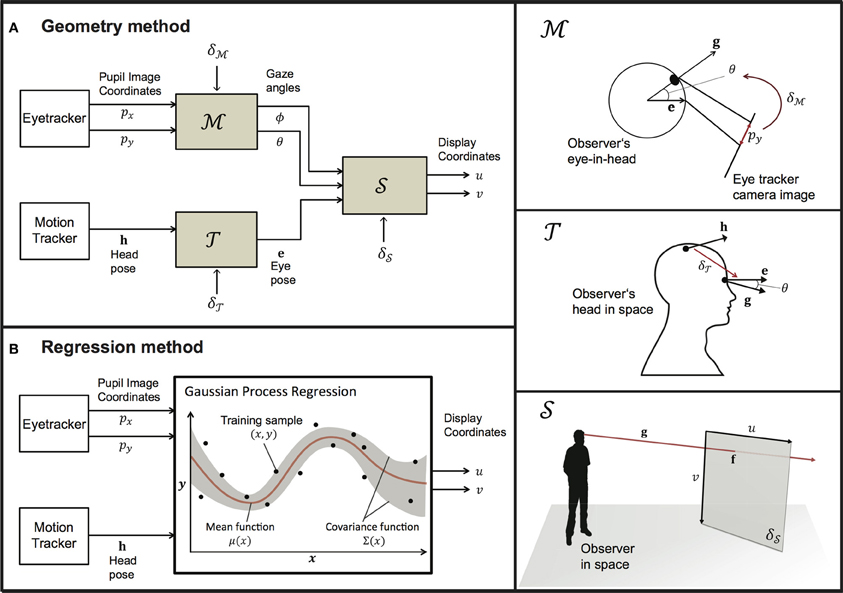 Frontiers | A comparison of geometric- and regression-based mobile gaze ...
