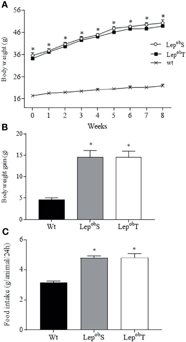 Frontiers | Aerobic Physical Exercise Improves Exercise Tolerance and ...