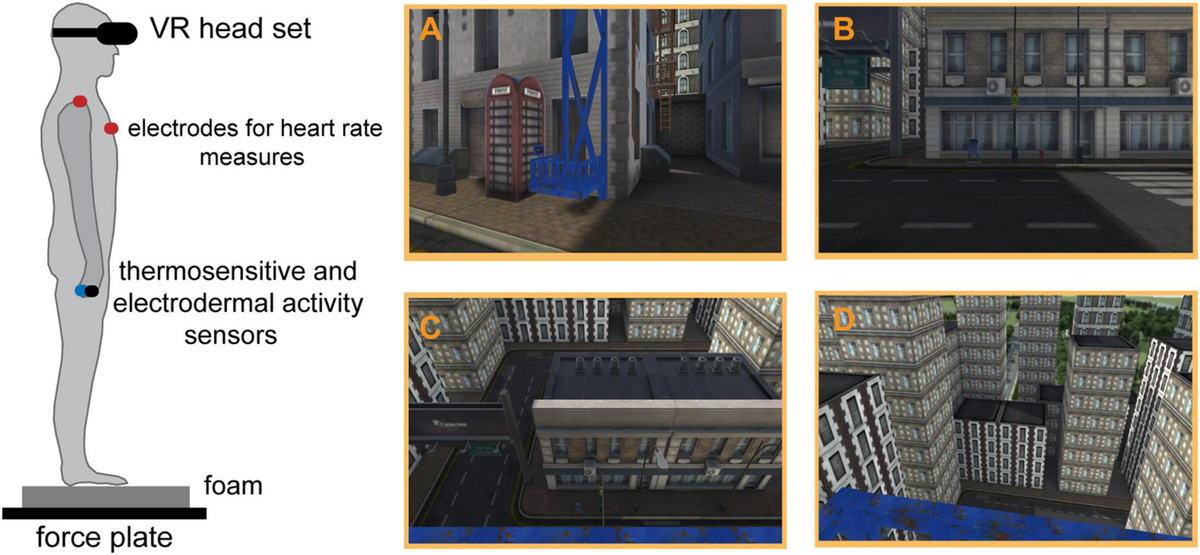 Frontiers | The Effects of Virtual Height Exposure on Postural Control ...