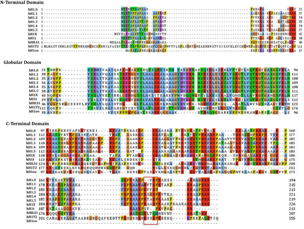 Frontiers | Molecular and Cellular Functions of the Linker Histone H1.2
