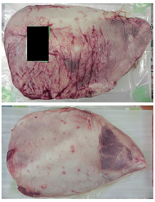 Frontiers | Corrigendum: Development and Improvement of Methods to ...