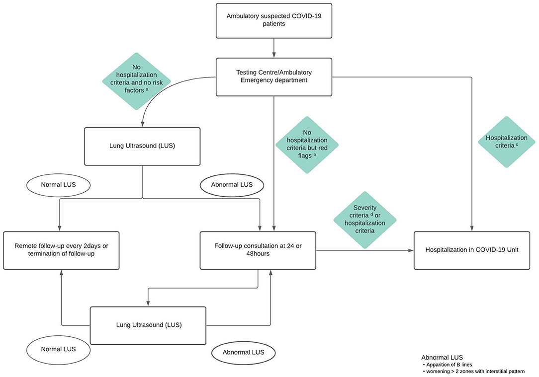 Frontiers | Implementing Lung Ultrasound in the Outpatient Management ...