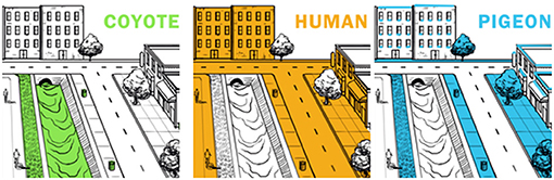 Frontiers | Wildlife Affordances of Urban Infrastructure: A Framework ...