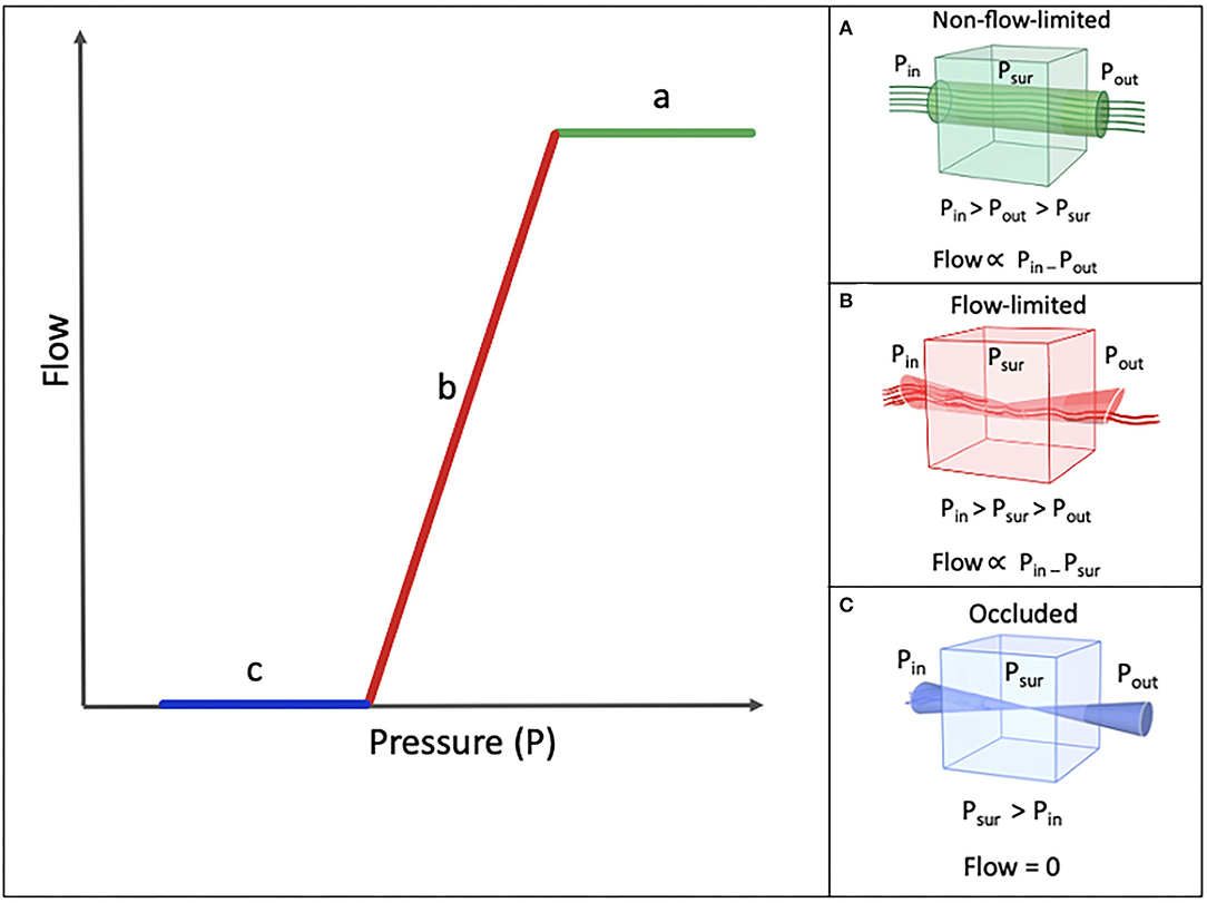 Frontiers | Critical to Know Pcrit: A Review on Pharyngeal Critical ...