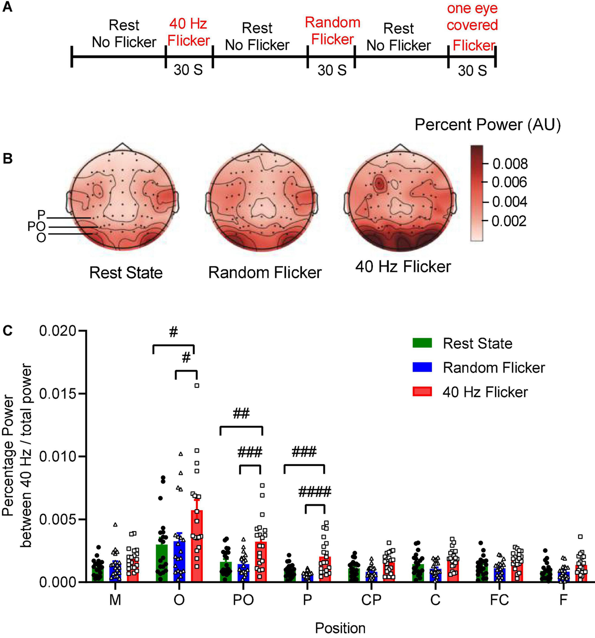 Frontiers | 40 Hz Light Flicker Alters Human Brain ...