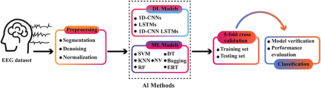 Frontiers | Automatic Diagnosis of Schizophrenia in EEG Signals Using CNN-LSTM Models