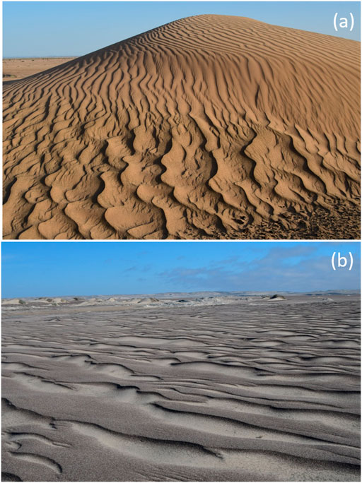 Frontiers | Editorial: Physics and Geomorphology of Sand Ripples on ...