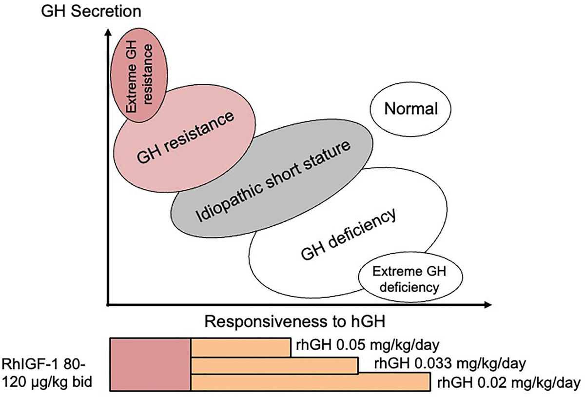 Frontiers | GH Resistance Is a Component of Idiopathic Short Stature ...
