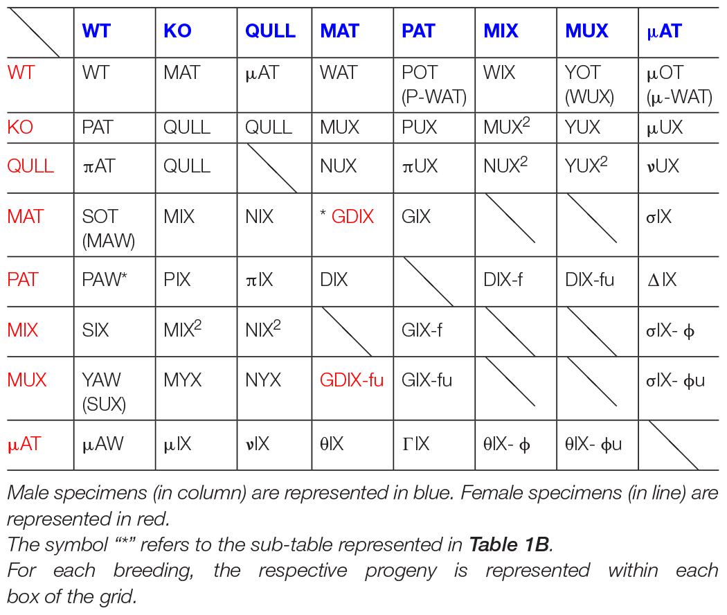 Frontiers | Keeping Track of the Genealogy of Heterozygotes Using ...