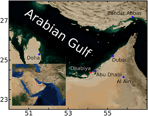 Frontiers | Summer Oxygen Dynamics on a Southern Arabian Gulf Coral Reef