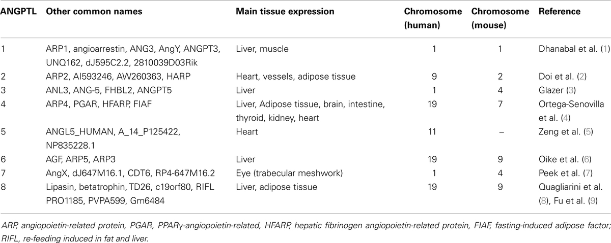 Frontiers | Angiopoietin-Like Proteins: A Comprehensive Look