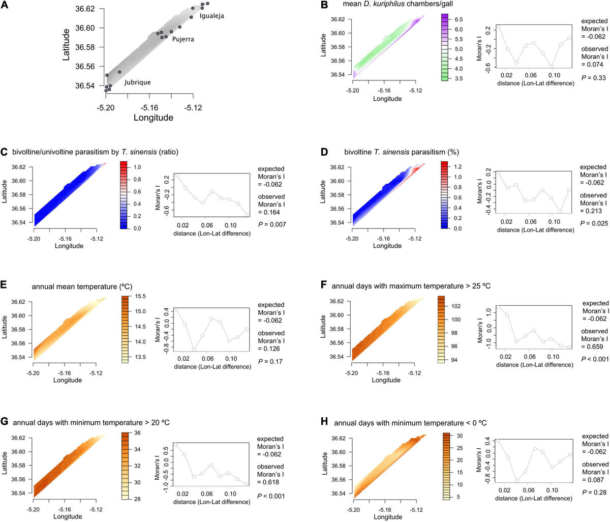 Frontiers | Host Gall Size and Temperature Influence Voltinism in an ...