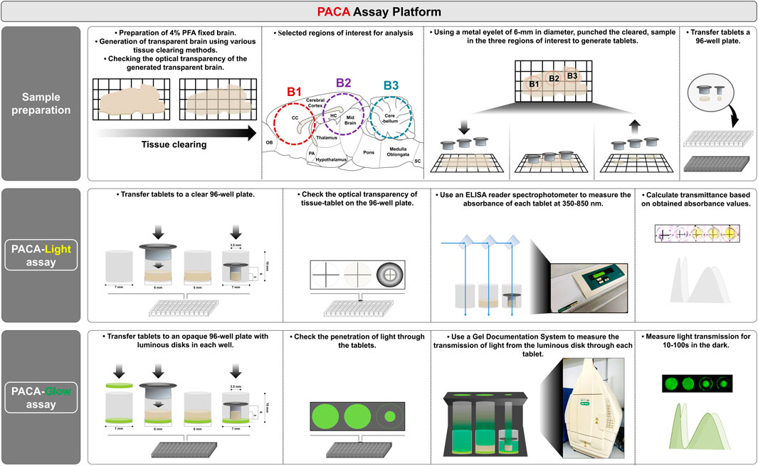 Frontiers | Comparative Analyses of Clearing Efficacies of Tissue ...
