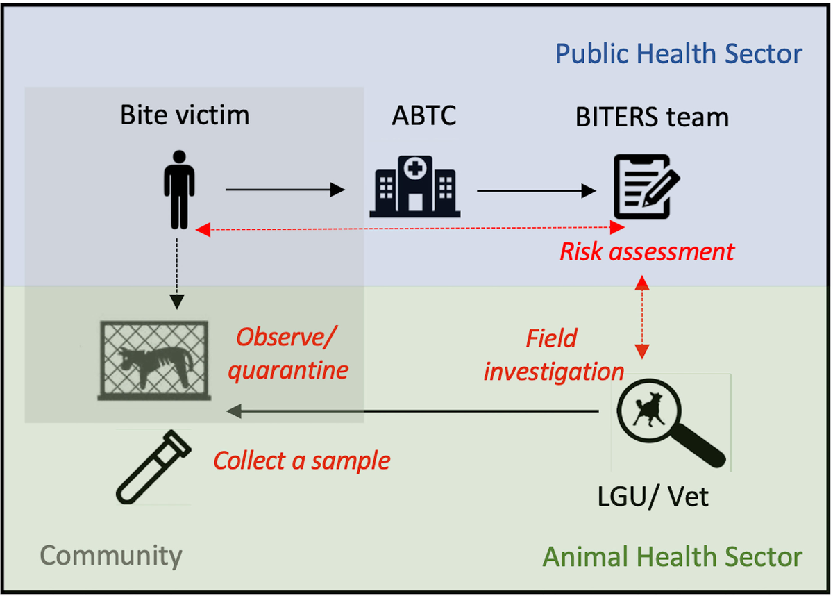 Frontiers | One Health Surveillance for Rabies: A Case Study of ...