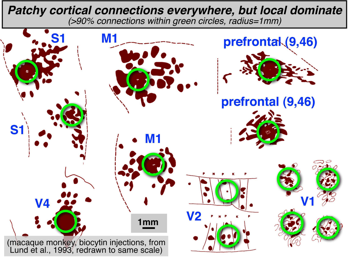 Frontiers | Topological Maps and Brain Computations From Low to High