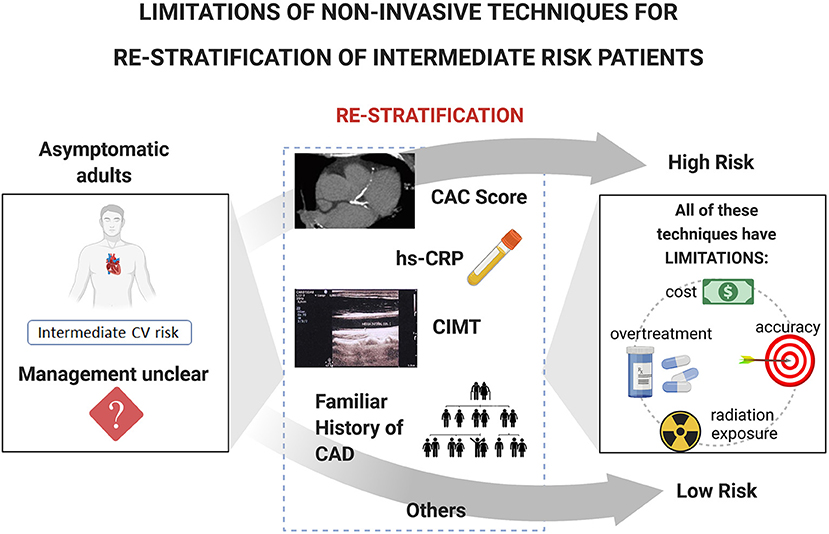 Frontiers | Innovative Approaches to Assess Intermediate Cardiovascular ...
