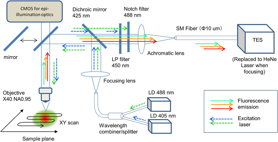Frontiers | Few-Photon Spectral Confocal Microscopy for Cell Imaging ...