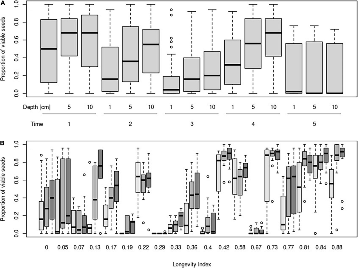 Frontiers | Soil Seed Bank Persistence Across Time and Burial Depth in ...