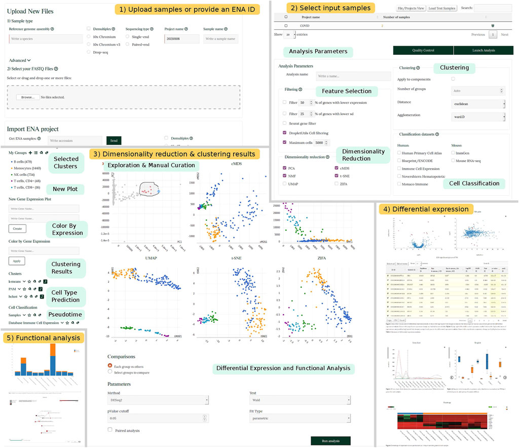 Frontiers | SingleCAnalyzer: Interactive Analysis of Single Cell RNA ...
