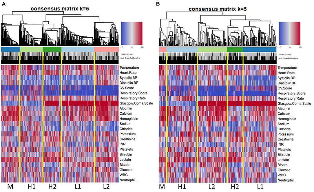 Frontiers | Identification of Clinical Phenotypes in Septic Patients ...