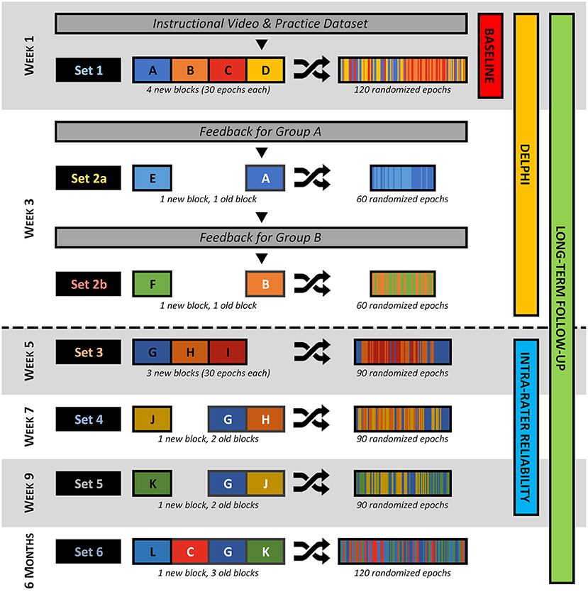 Frontiers | Effect of Training on Visual Identification of High Frequency Oscillations—A Delphi ...