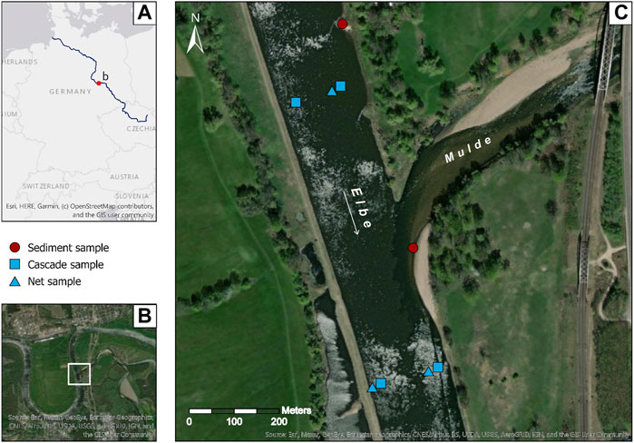 Frontiers | Microplastic in Water and Sediments at the Confluence of ...
